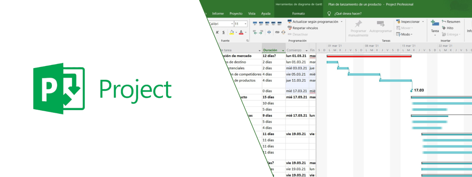 Microsoft Project: ¿Qué es y cuales son sus funcionalidades?